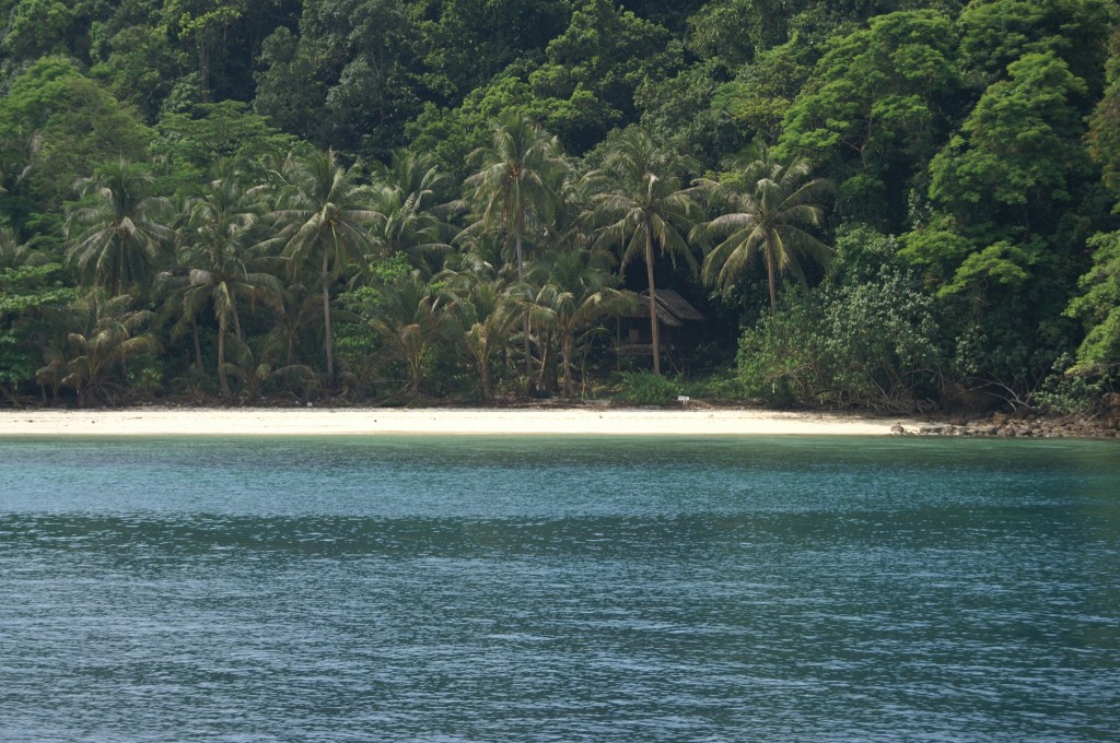 Iceweasel_wallpaper | Herfa in Hessen (Stadt Heringen)